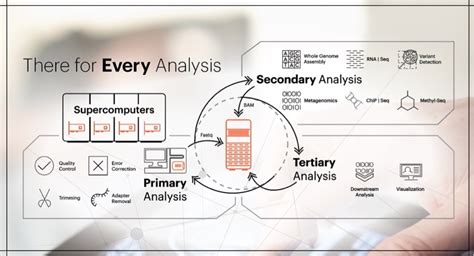 Moving Mountains Of Data Through The Bioinformatics Workflow