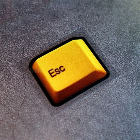 S9dd43f211d574b2599a4a2093c5328598 