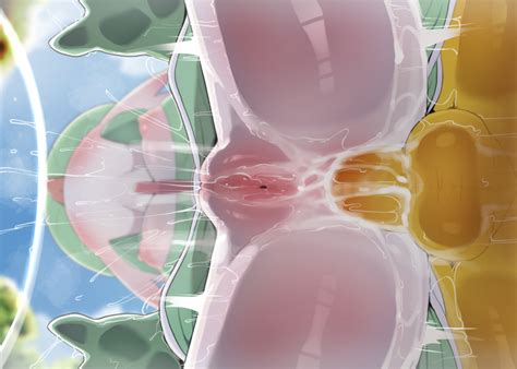 Rule 34 Ahe Gao Anal Areola Big Breasts Biped Breasts Dagasi Duo