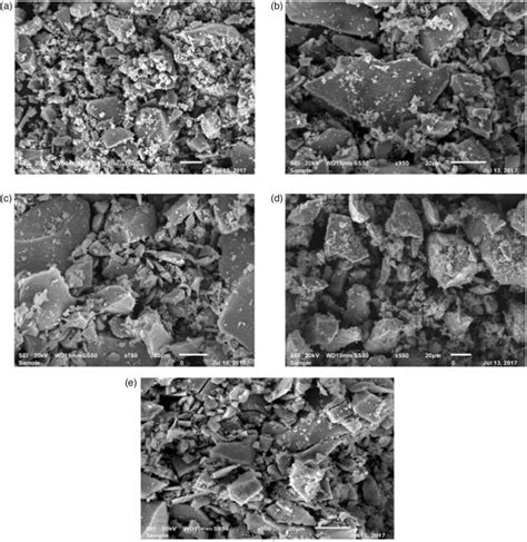 SEM μm images of different Bi doped TiO photocatalysts a Download Scientific