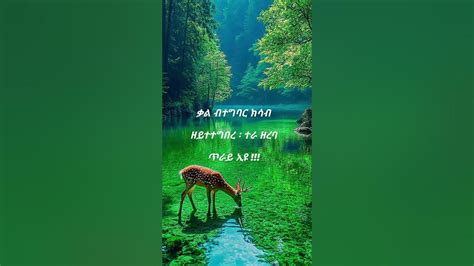 eritreanfilm habesha eritreanmovie eritreanmusic eritrea eritrean