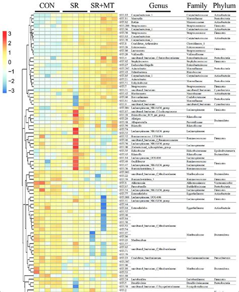 the heatmap of the redundancy analysis rda identified key otus