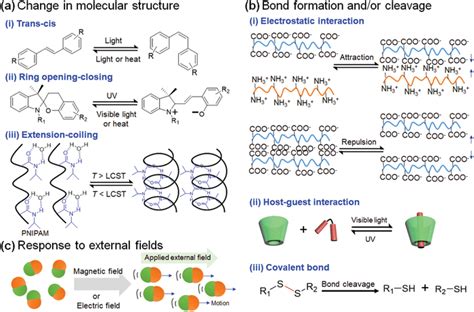 Stimuli‐responsive Molecules Particles After Detecting An External
