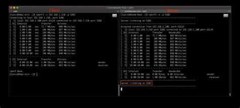 How To Use IPerf To Test Network Speed From Host To Host Tynick AWS Linux Raspberry Pi