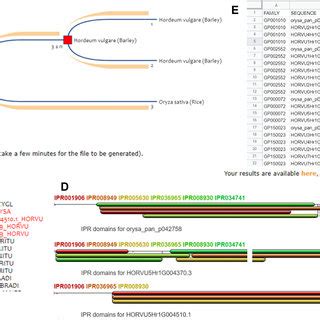 Schematic Walkthrough Of A Tree Pattern Matching Use Case Applied On Download Scientific