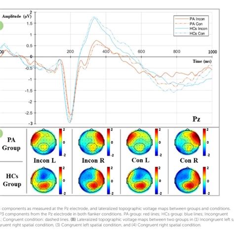 The Schematic Of The Lateralized Attention Network Test Lant A