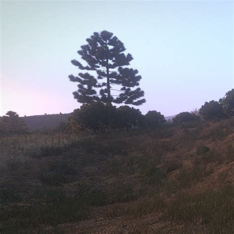 Liam Corcoran Youtube