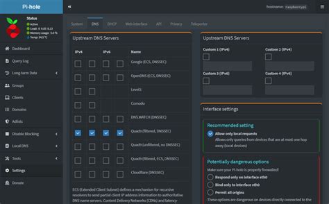 Pihole Is The Dhcp Server Facing Two Weird Dns Server Issues Rpihole