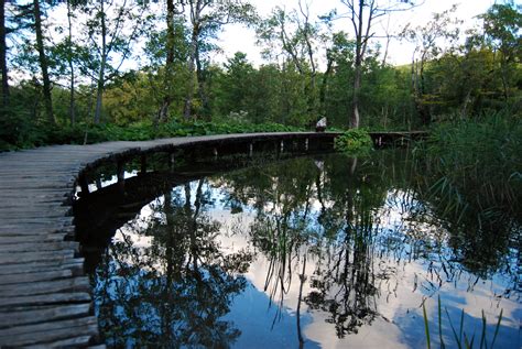 Cache Purge Using Nginx Helper For Sites Behind Cloudflare Gresak Net