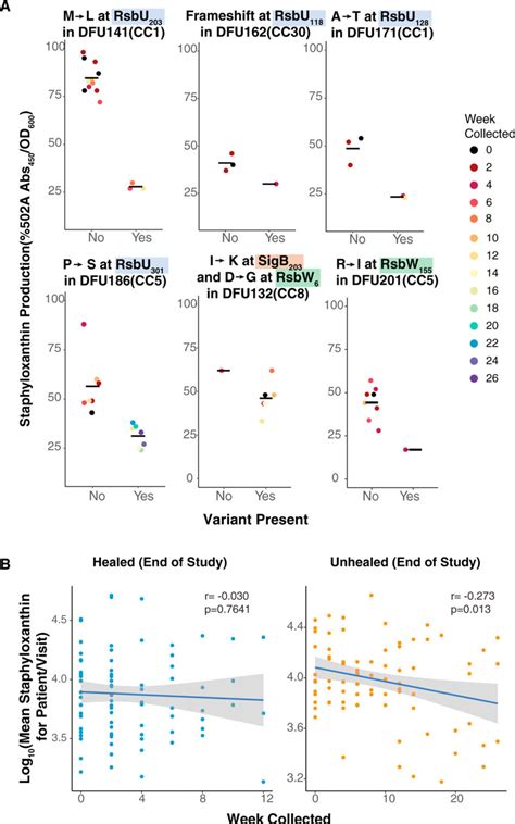 Loss Of Function Mutations In The Sigma B Operon May Be A Convergent