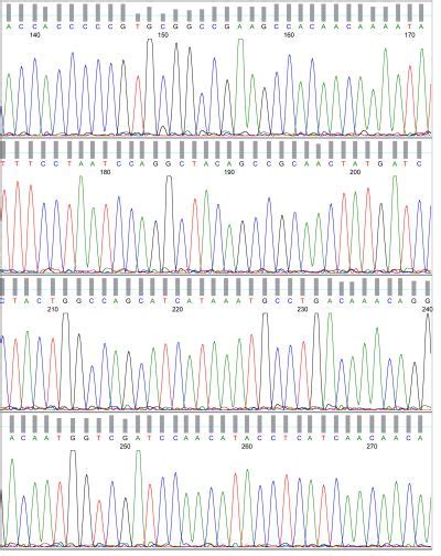 DNA Detective Queensland Museum Blog