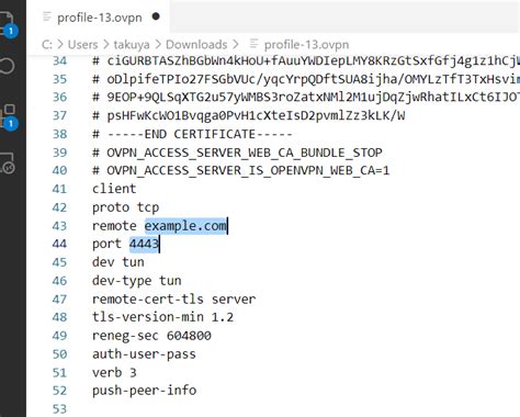 Openvpnの管理画面をインストールしてvpnを快適に使う。 それマグで！