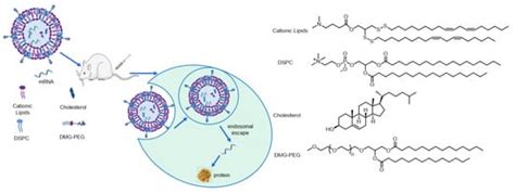 Development Of A Library Of Disulfide Bond Containing Cationic Lipids