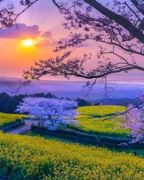 อรุณสวัส รูปภาพวิวธรรมชาติสวยๆ ดอกไม้ ทะเล สุดสวย น่าร้กๆ