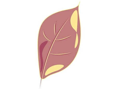 Premium Psd Leaves Graphic