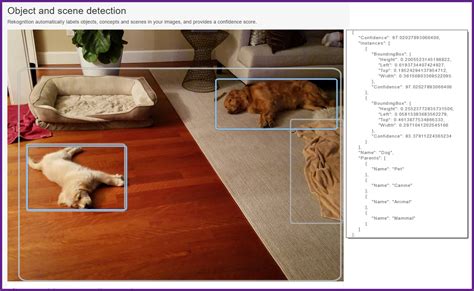 Amazon Web Services Rekognition Image Analysis Tool Can Now Locate Objects Within A Photo