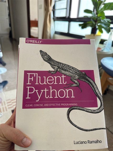 Fluent Python Hobbies And Toys Books And Magazines Textbooks On Carousell