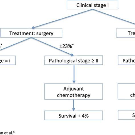 PDF Clinical Staging Of NSCLC Current Evidence And Implications For Adjuvant Chemotherapy