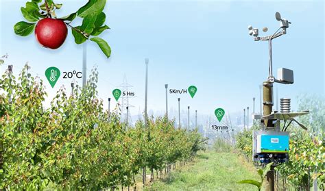 Predicting Pests And Orcharding In The Digital Age Orchardly® Grow