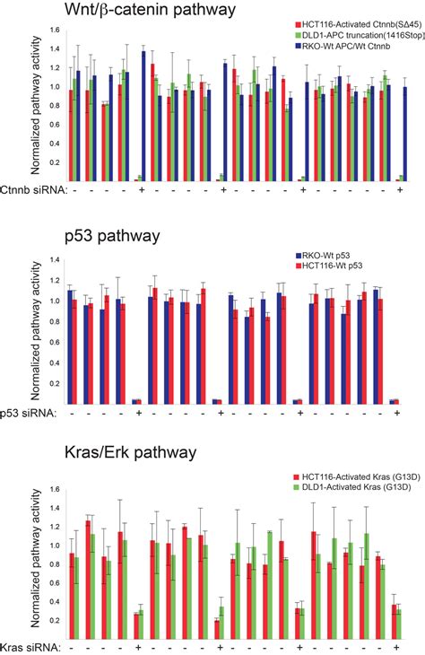 A Multiplexed Luciferase Based Screening Platform For Interrogating