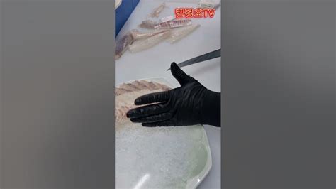 세가지 모듬회 우럭 광어 참돔 Youtube