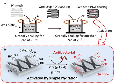 Schematic Illustration Of A Catechol Based Polydopamine Pda Coating Download Scientific