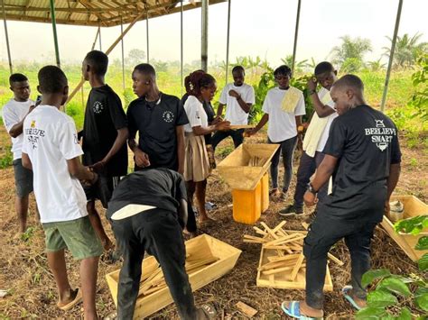 david djangmah tawiah on linkedin bees collaboration beekeeping
