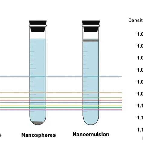 Schematic Representation Of The Density Determination Of The Download Scientific Diagram