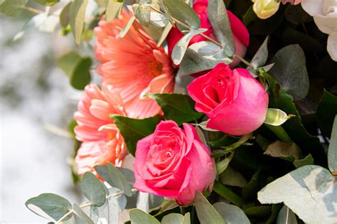 야외에서 꽃의 배열 신선한 꽃 장미 유칼립투스 꽃잎 햇빛에 잎과 파티와 리셉션 결혼식에 대한 스톡 사진 및 기타 이미지 결혼식 과테말라 꽃 나무 Istock