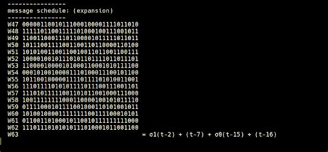 アニメーションで感覚的にハッシュ関数「sha 256」の算出過程を理解できる「sha 256 Animation」 Gigazine