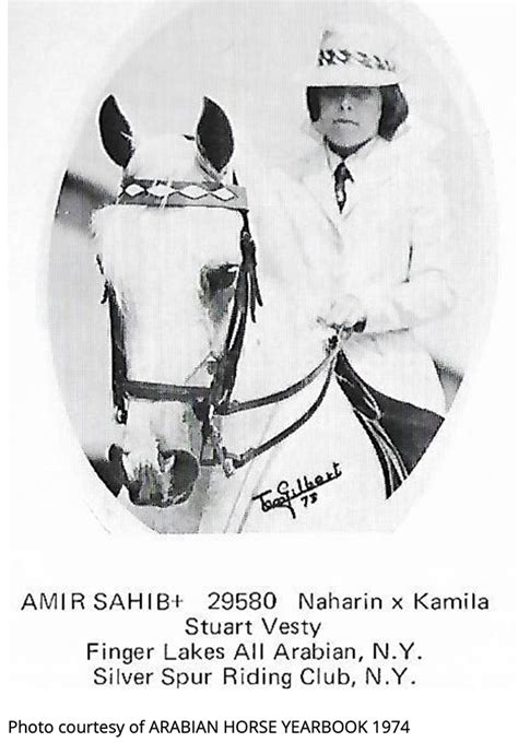 The Swift Runner Articles