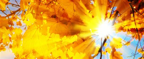 Reduce Your Inheritance Tax Bill Paretofp