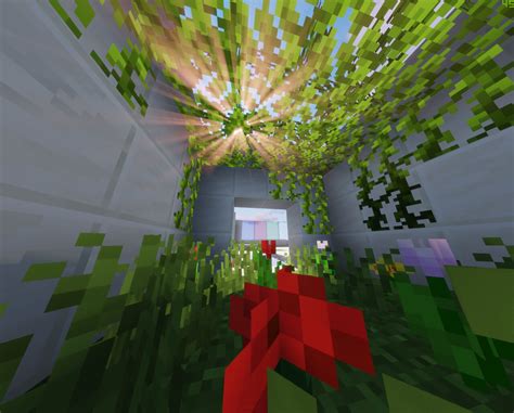 Shader Tester Minecraft Map