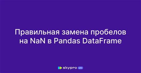Правильная замена пробелов на NaN в Pandas DataFrame