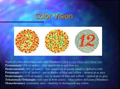 Ppt Visual Sensory System Powerpoint Presentation Free Download Id1009094