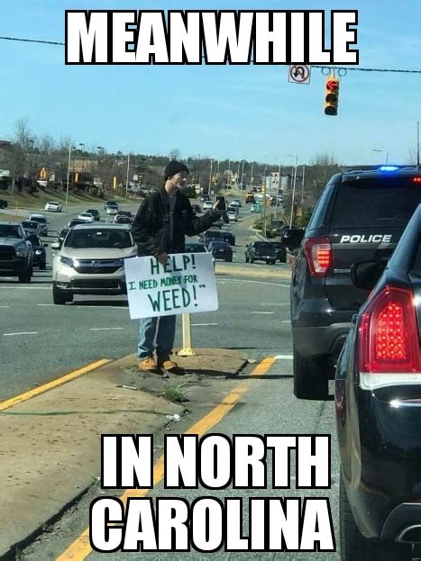 Meme From The North New Nfc North Meme War Pfp Rnfcnorthmemewar