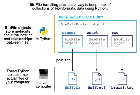 Github Arcadia Scienceglial Origins Evolutionary Origins And