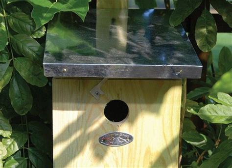 Caja Nido Grande Para Carbonero Nkk Esschert Design — Gual Garden Online
