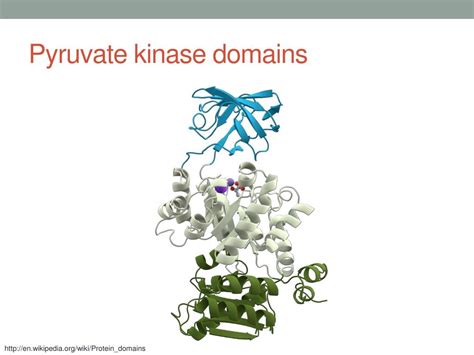 Ppt Multiple Sequence Alignment Msa Powerpoint Presentation Free