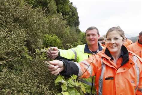 One Of The Many Achievements Made By The Turitea Windfarm Team