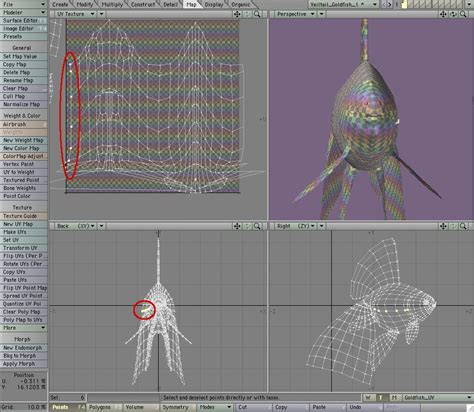 Making UV Maps In LW Copyright Robin Wood