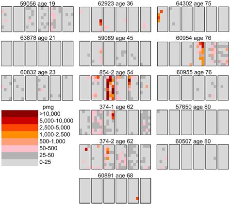 Distribution Of The Men2b Mutations In 14 Human Testes Each Testis Is