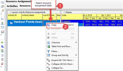 How To Generate S Curve Histogram From Primavera P Planrama