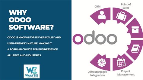 Discover The Ways In Which Tpm Third Party Monitoring Services Pave The Path To Project