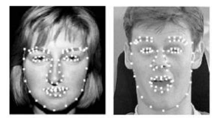 1 Two Images Used For Building The Active Shape Model Faces Labelled Download Scientific