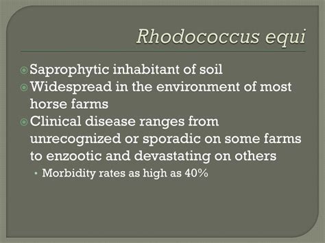 Ppt Rhodococcus Equi In Foals Powerpoint Presentation Free Download