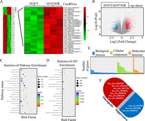 Circrnas Participated In The Osimertinib Therapy Resistance A B The Download Scientific