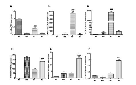 Surface Marker Expression On Thp 1 Monocytes M0 And On M1 And M2
