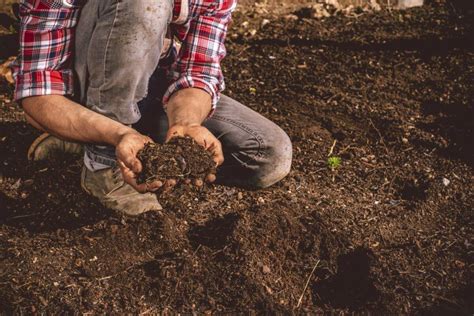 SOIL TYPES WHAT TYPE DO YOU HAVE Kellogg Garden Products