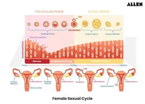 Assisted Reproductive Technologyart Types And Methods